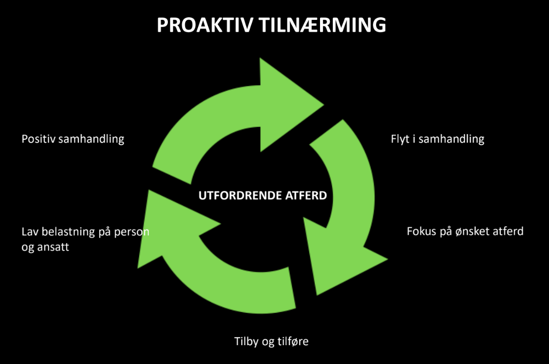 Proaktiv tilnærming